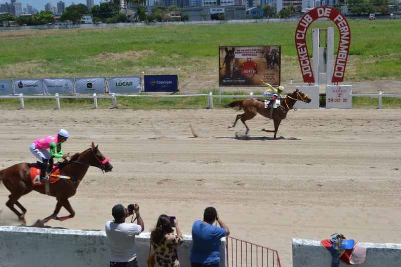 Bastidores do turfe pernambucano (11/11/2022) - Jockey Club de Pernambuco