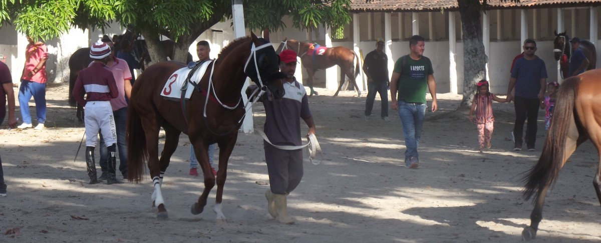 Bastidores do Turfe Pernambucano 10/02/2023 - Jockey Club de Pernambuco
