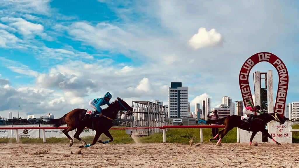 Bastidores do Turfe Pernambucano - 15/08/25 - Jockey Club de Pernambuco
