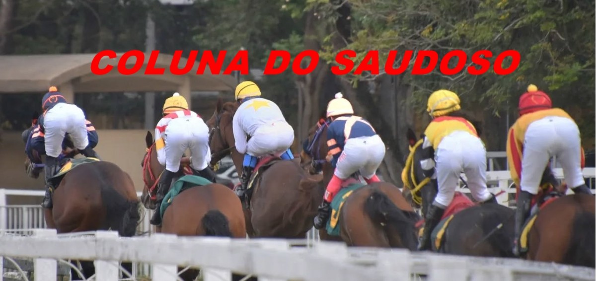 Coluna do Saudoso - Grande Prêmio Brasil - Parte II - Jockey Club de ...
